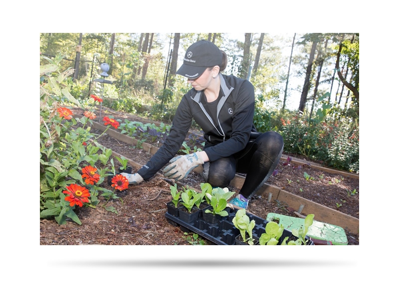 MBUSA European Delivery Program